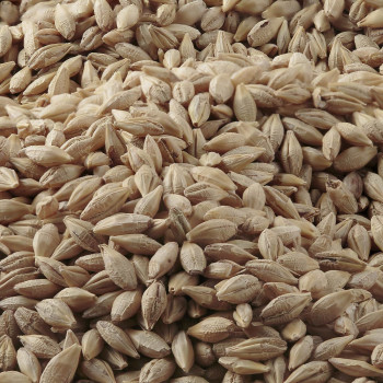 Cereal bagging machine | Concetti